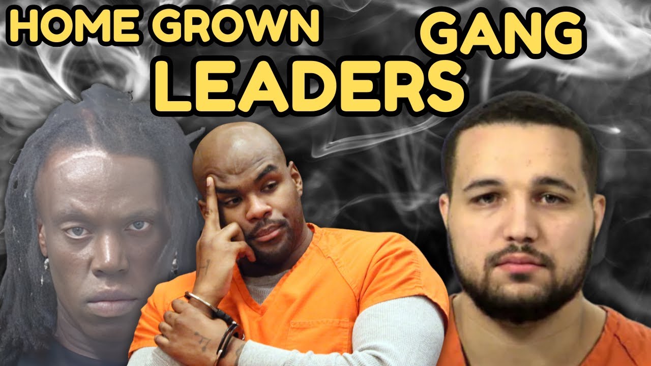 Homegrown Gang Leaders: From New York to Alabama, Virginia, Indiana ...