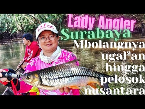 Lady Angler Surabaya ,mbolang wild fishing hng kehampir seluruh sungai ...