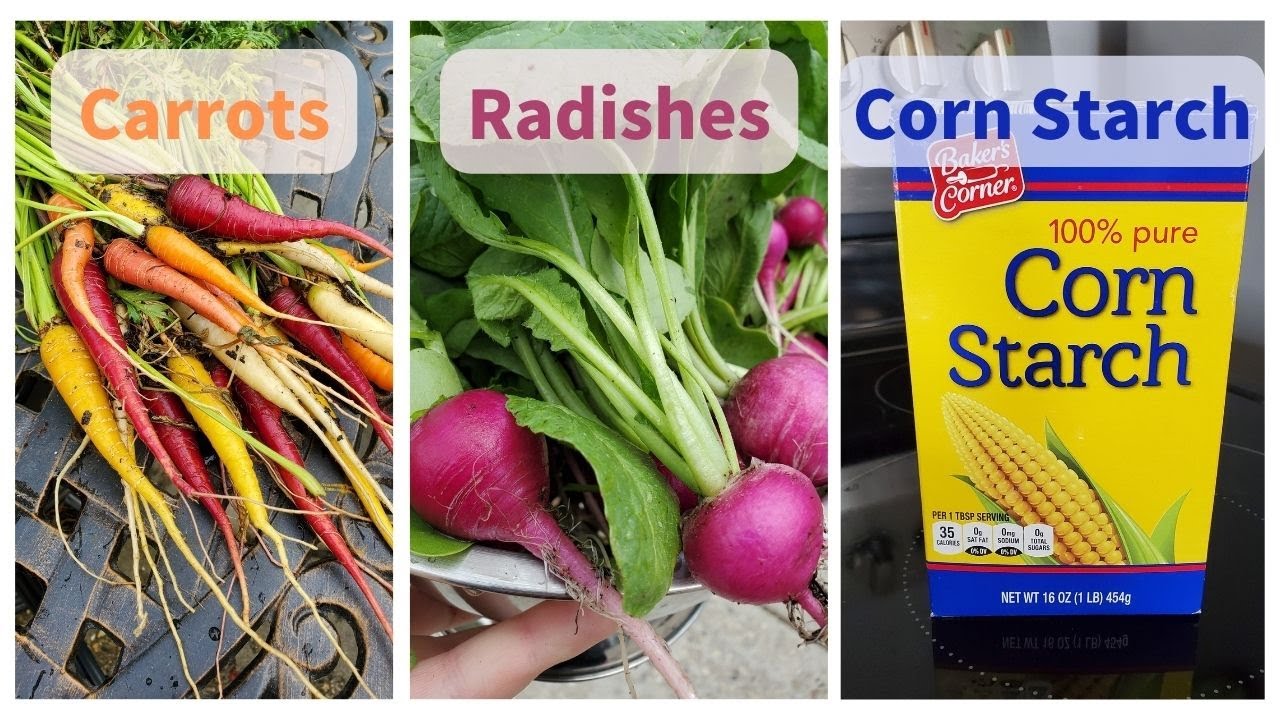 How To Grow Carrots and Radishes with Cornstarch: Great for the ...
