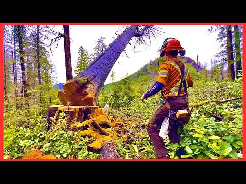 246. Smashing & Pushing Trees | Many Obstacles and Techniques in this ...