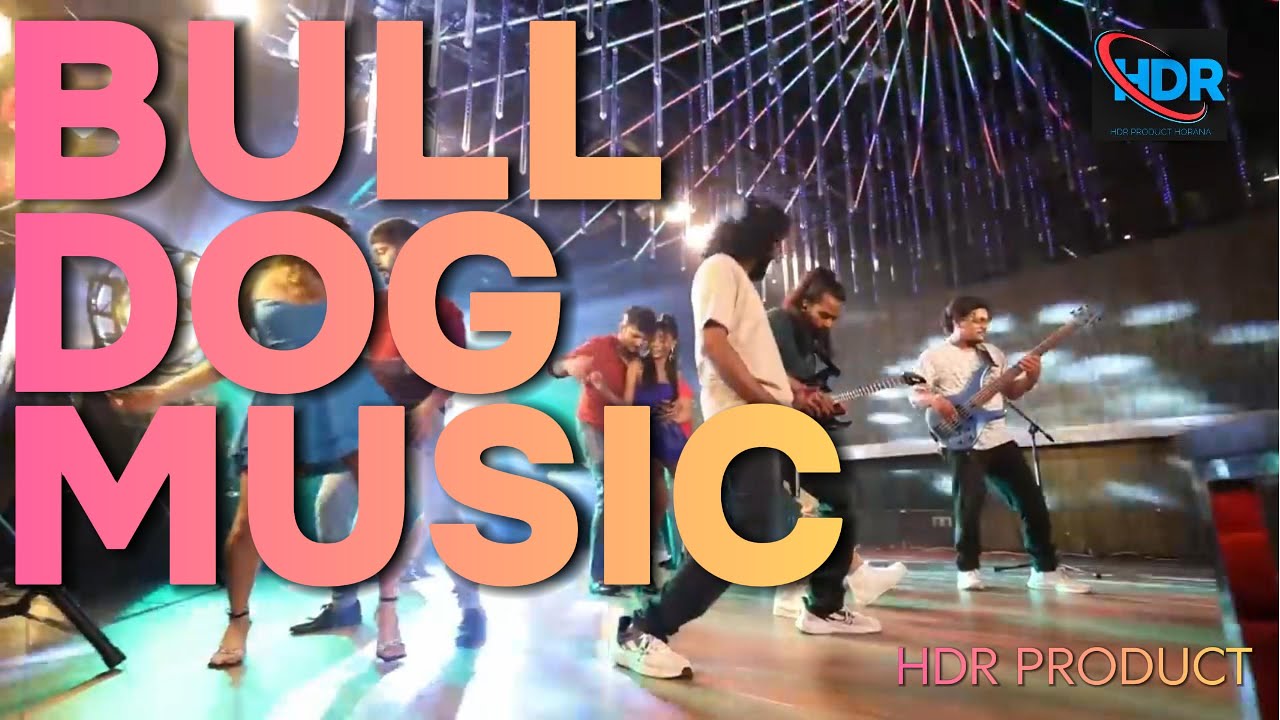 Bull Dog Music Band Nonstop 2024 HDR music video - YouTube