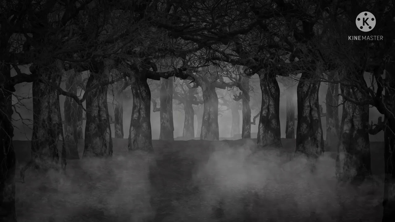 Spooky night... jungle background// green screen //video effect Haunted ...