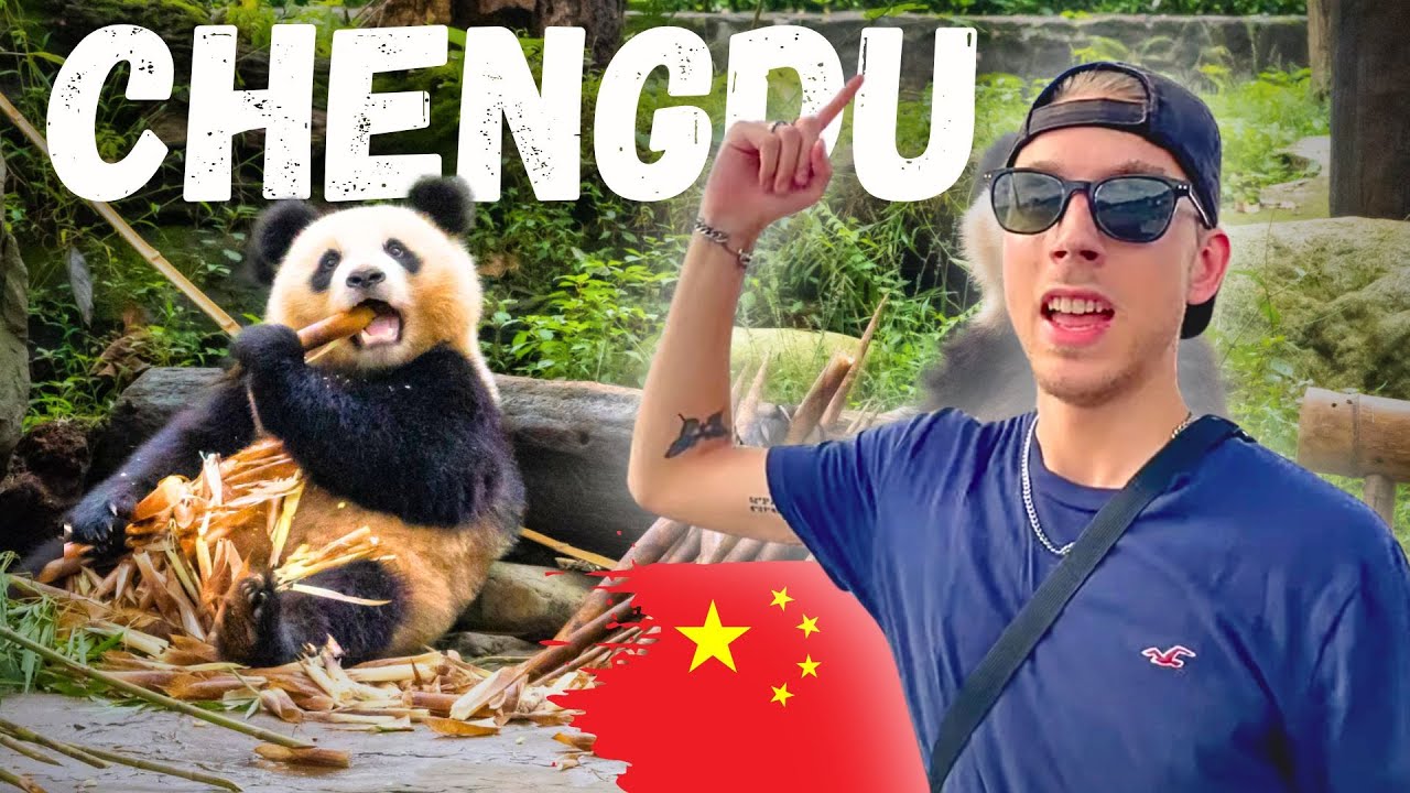 Fake Pandas in China? We Had to Find Out 🐼🇨🇳 - YouTube