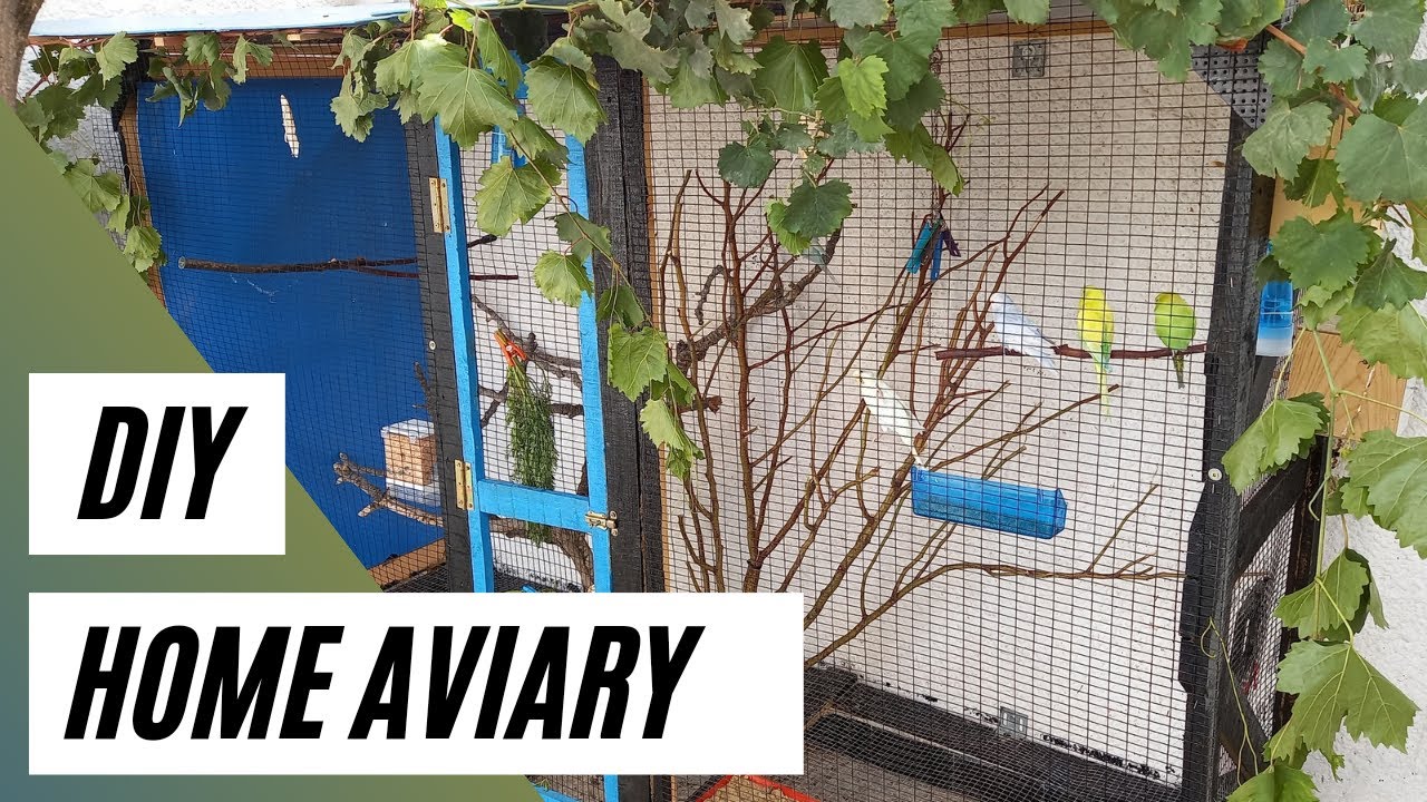 DIY || How to make a home aviary. - YouTube