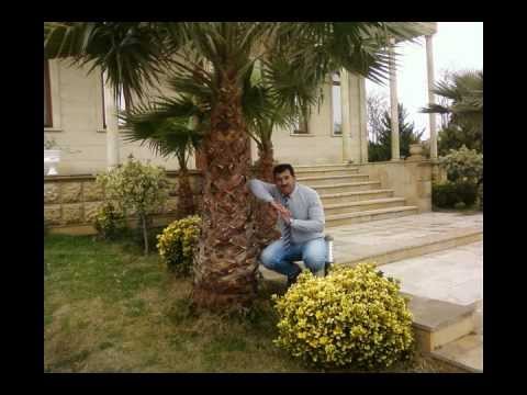 Rovshen Abuzerov 050 339 59 31   Solma,sevgi çiçəyım