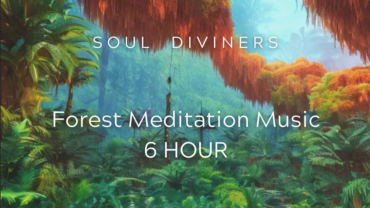 Soothing Forest Ambient Music: Nature Sounds for Yoga, Meditation and ...