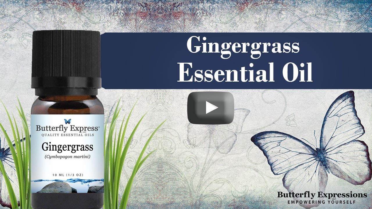 Gingergrass Essential Oil - YouTube