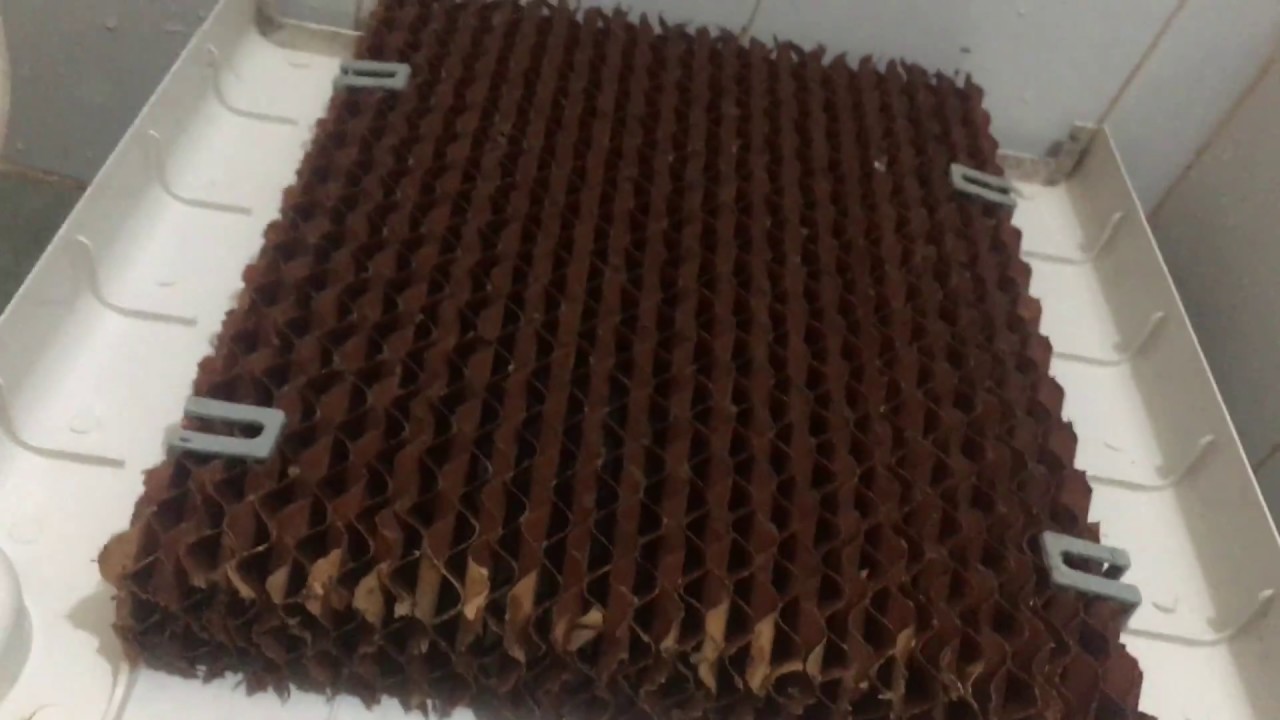 How to clean water cooler / DRAIN Water in Cooler - YouTube