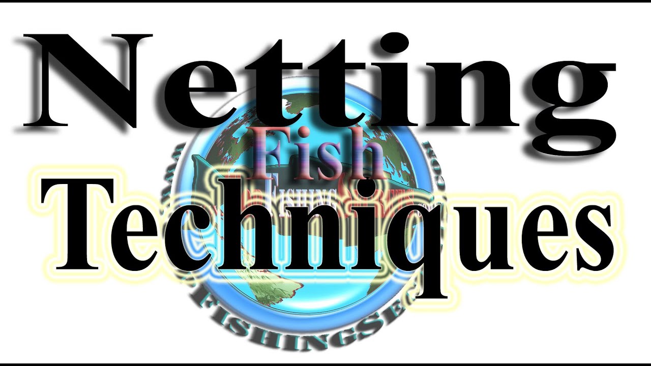 Netting Fish Technique - YouTube