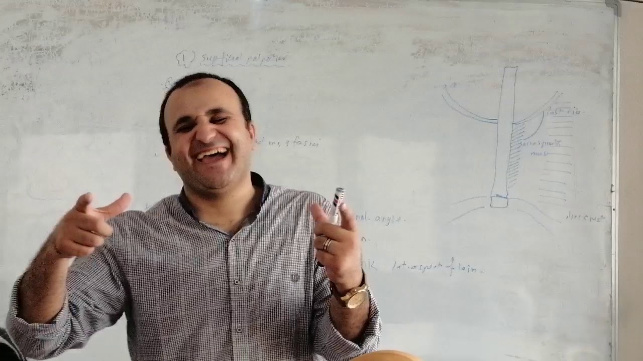 GIT examination :palpation 1 - YouTube