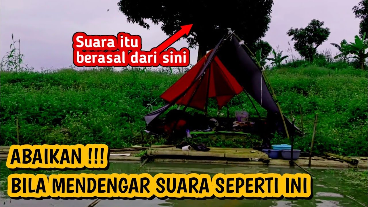 Camp fishing #4 - Merinding!! Jika mendengar suara seperti ini di spot ...