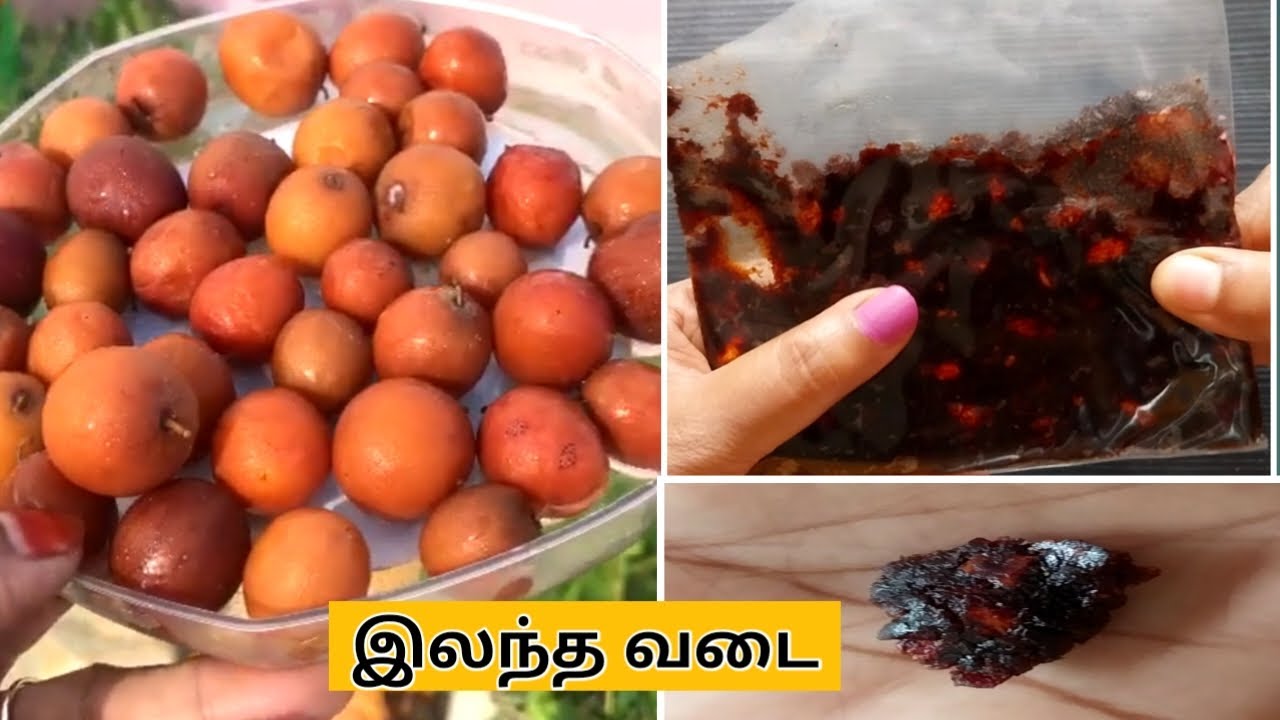 Elantha vadai|இலந்த வடை| Jujube fruit |Health benefits of Jujube fruit ...