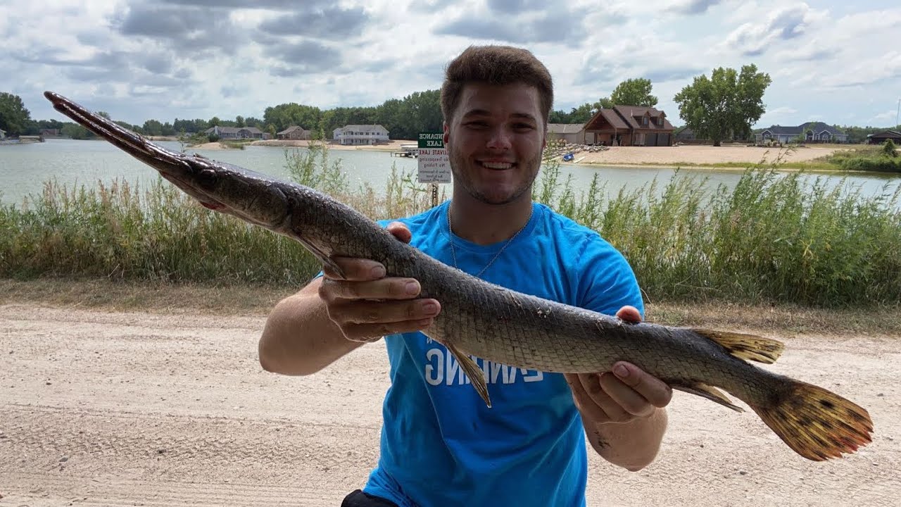 Catching BIG Gar on Rod and Reel - YouTube