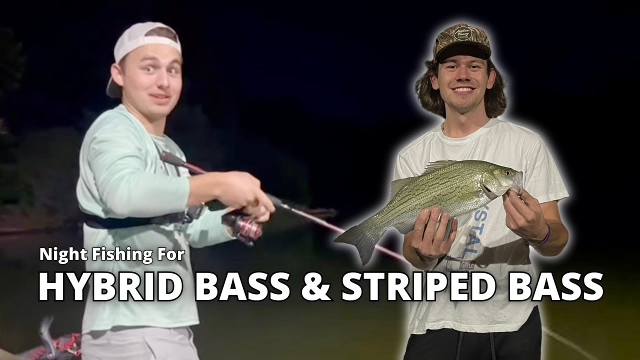 NIGHT FISHING For Hybrid and Striped Bass! (Our Best Night Fishing Trip ...