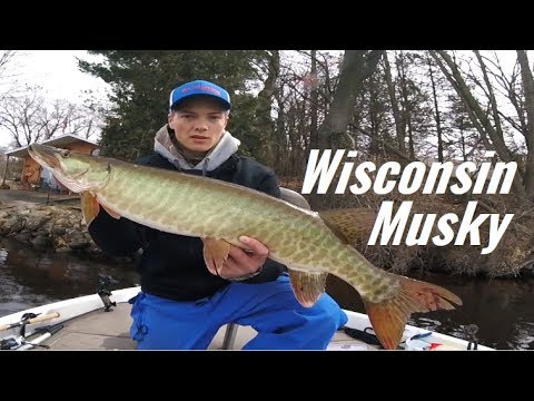 HUGE Musky In Wisconsin River -- Fish of a Lifetime!! - YouTube