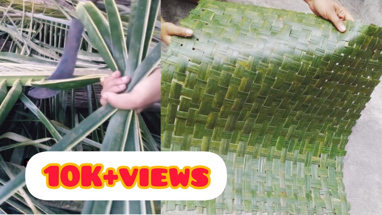 Coconut leaf craft 🌴 ️ // Coconut mat making 😍 - YouTube