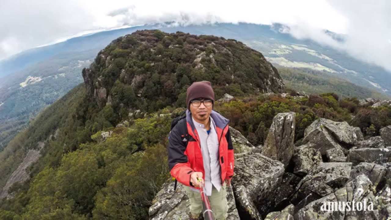 Quamby Bluff walking track, Northern Tasmania - YouTube