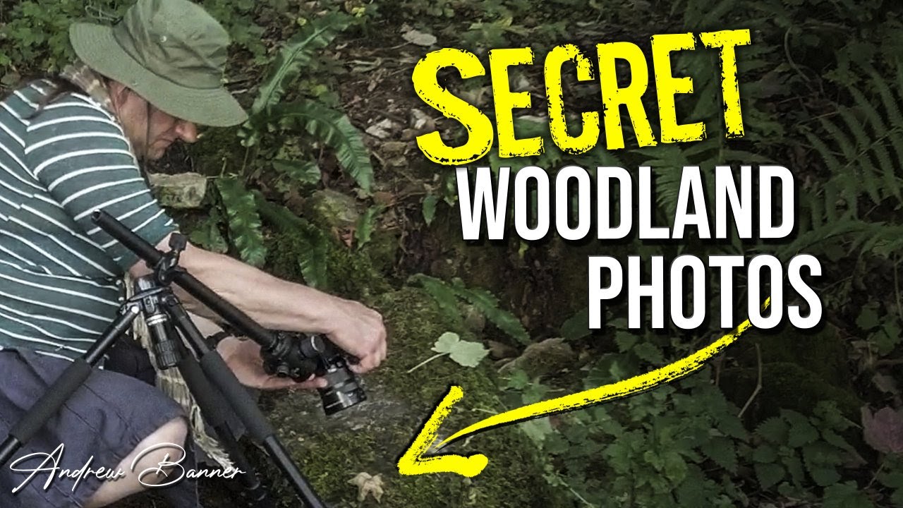 Take BETTER photos - STOP thinking BIG, think SMALL. - YouTube