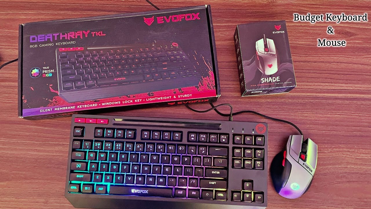 EvoFox Deathray Keyboard & Shade Mouse: The Ultimate Gaming Duo! 🔥🎮 ...