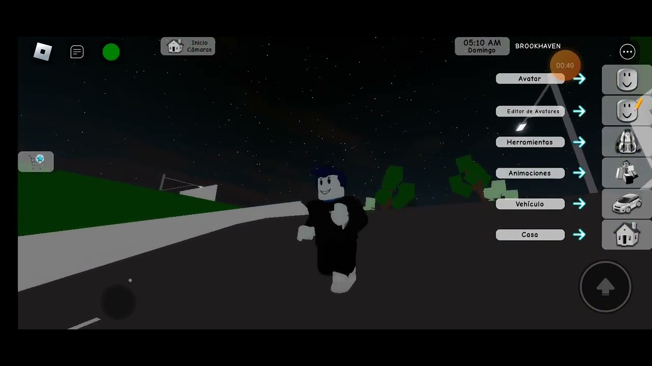 si tienes roblox lyna brookhaven a dar una conversación importante de ...
