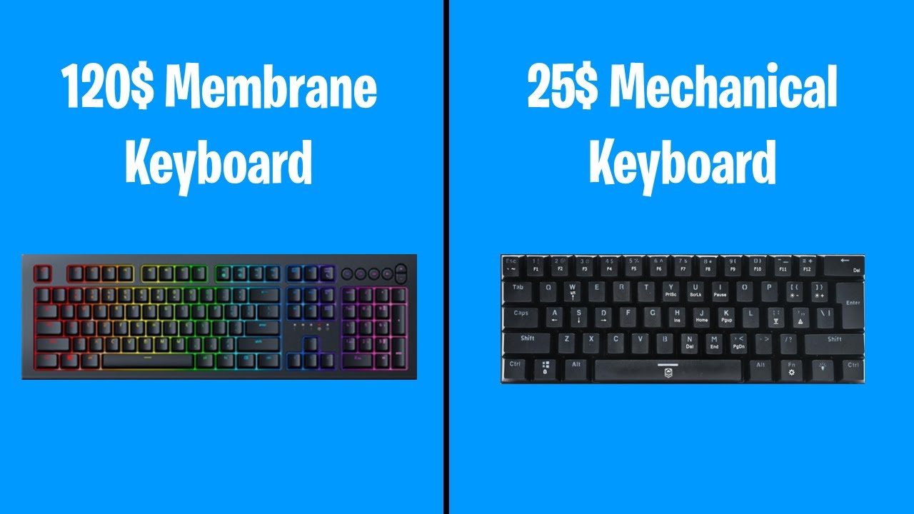 Cheap Mechanical Keyboard vs Expensive Membrane Keyboard - YouTube