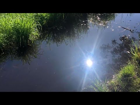 5 Pillars of Natural Sequence Farming - YouTube