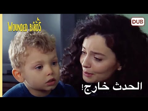 دورسون يجعل البيت متوترا  |  الطيور المجروحة 01