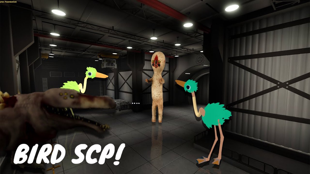 Roblox BIRD SCP - NEW Trailer | Roblox BIRDS community’s New Game ...