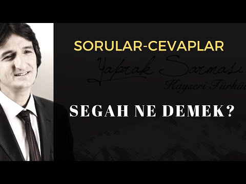 Segah Ne Demek?