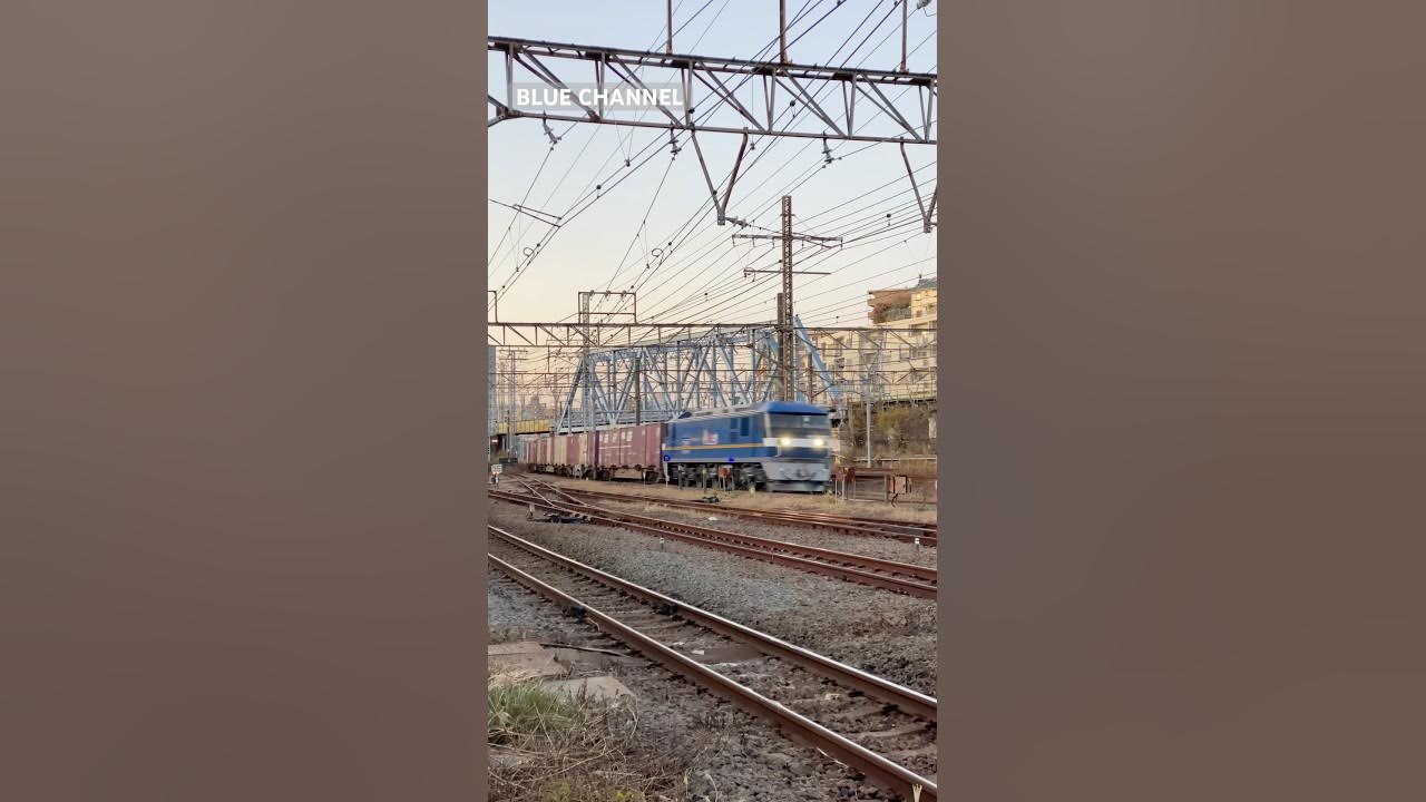 (貨物列車) 2024/12/18 1096レ EF210-363 + コキ25B (名古屋タ〜札幌タ) #Shorts - YouTube
