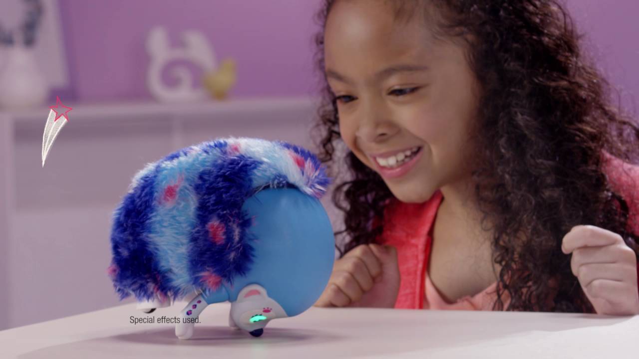 Zoomer | Hedgiez | You'll Flip For Them! | TV Commercial - YouTube