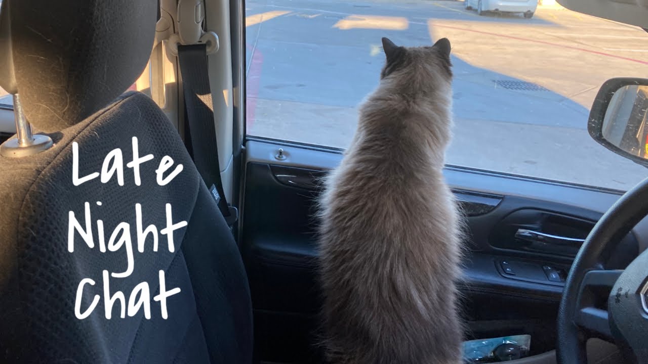 Late Night Chat - YouTube