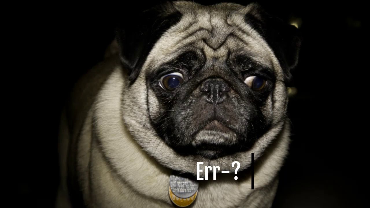 ALIEN WITH DOG #MEME #Joke - YouTube