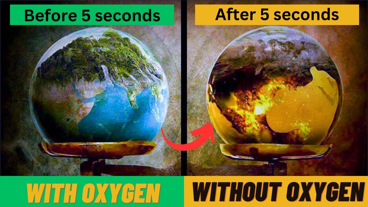 "What If the World Lost Oxygen for Five Seconds? (Explained in Nepali ...
