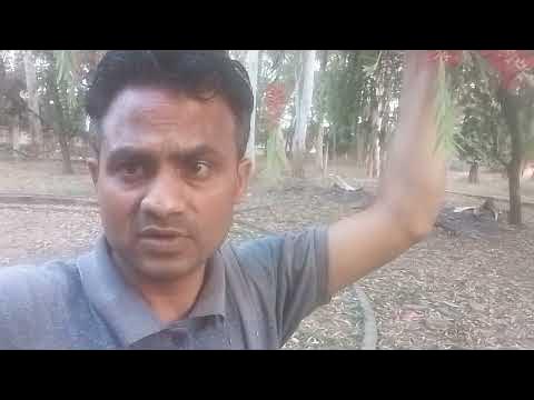 My first vlog #2025 - YouTube