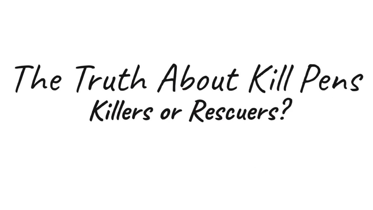 The Truth About Kill Pens: Killers or Rescuers? - YouTube
