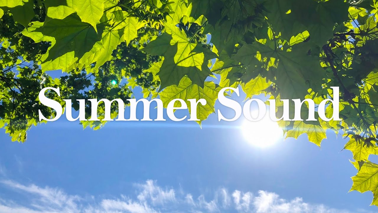 Summer sounds echo with piano playlist | 여름을 위한 음악 - YouTube