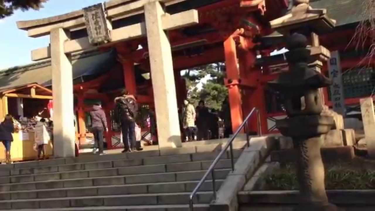 ヒーリング動画 】 Monkey Charge (モンキーチャージ) 〜感情豊か〜 - YouTube