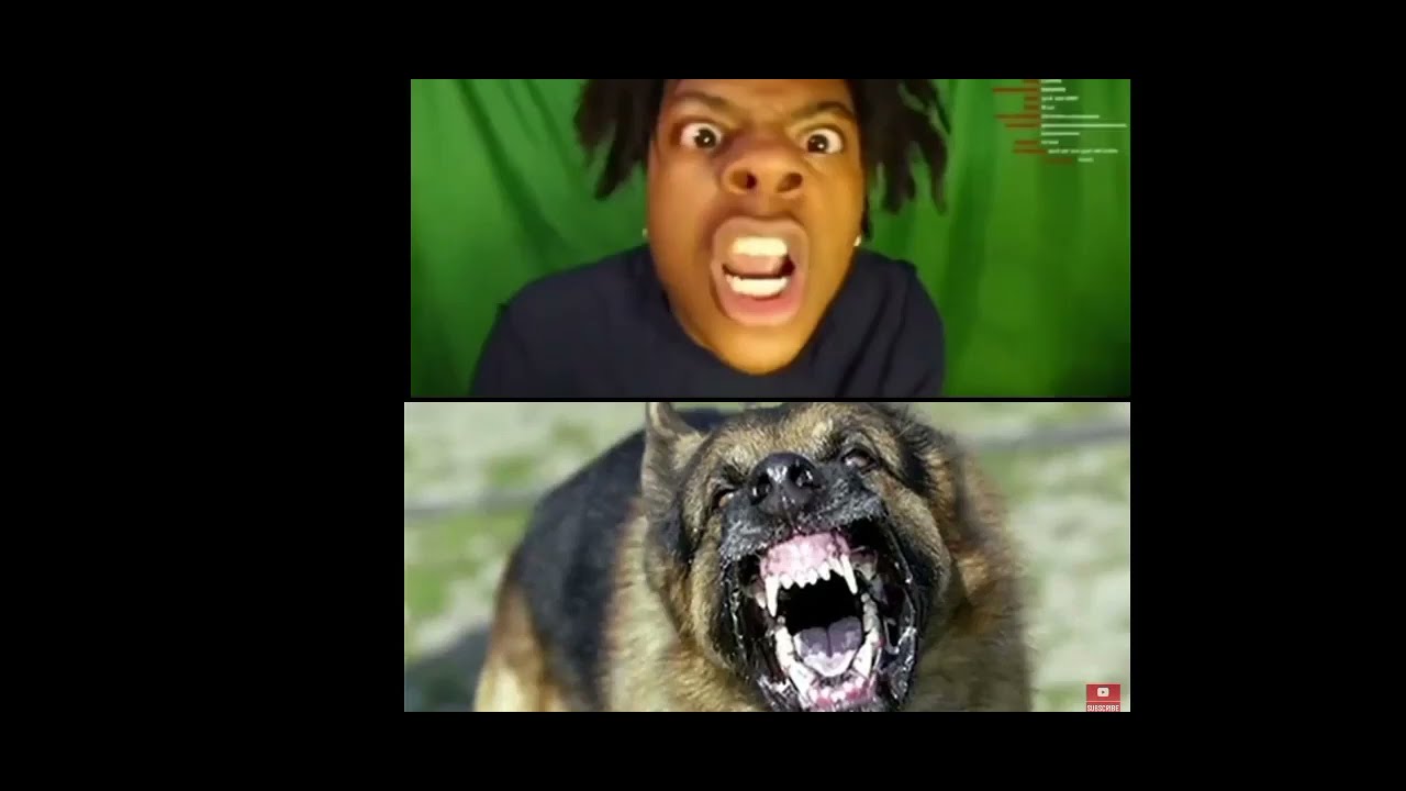 IShowSpeed Vs Dog [Comparison Edit] #edit #comparison #Dog #ishowspeed ...
