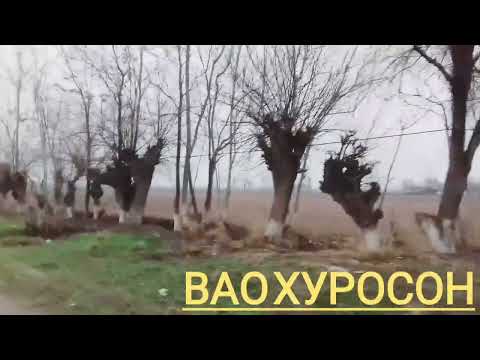 ДЕХАИ КОММУНИЗМ 2 ФИНИСКИ