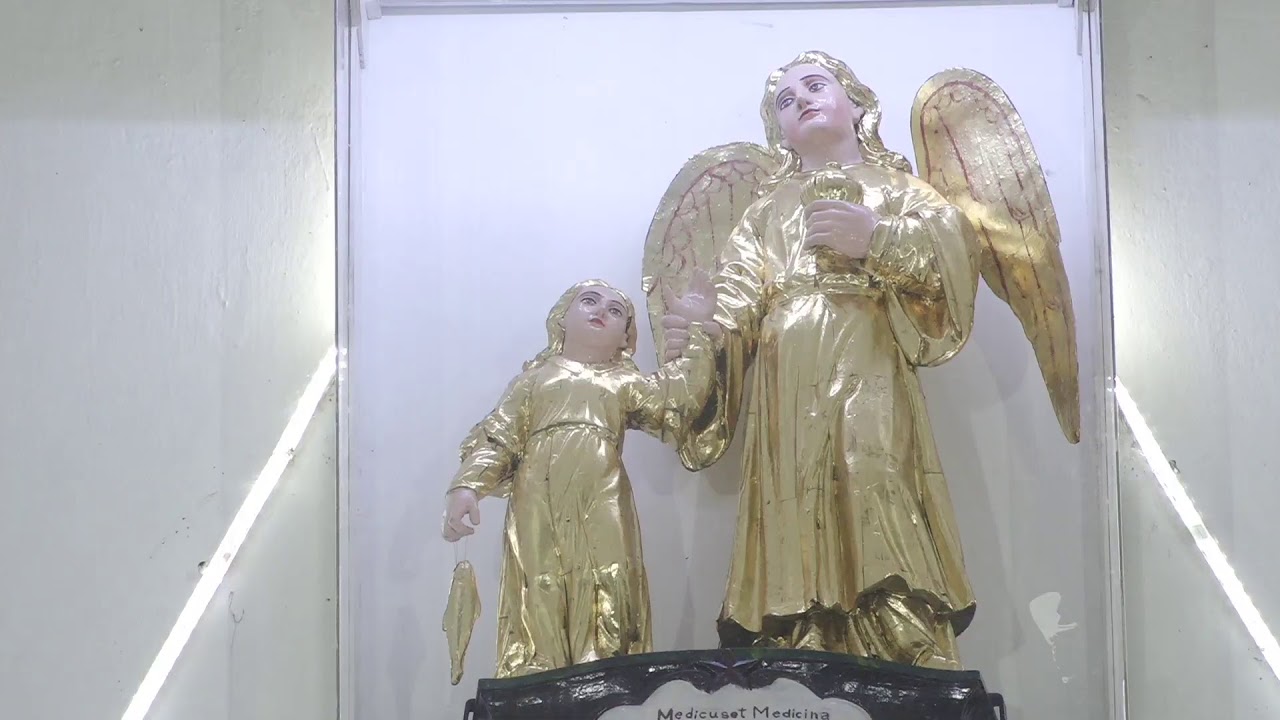 St.Raphael's Church Thykoodam Live Stream - YouTube