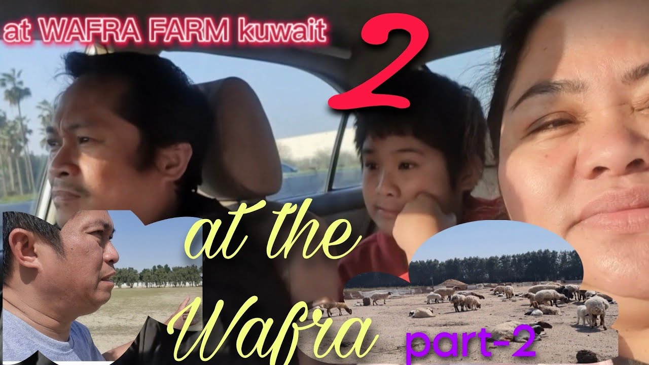 Wafra farm 2nd time Around part-2#kuwait - YouTube