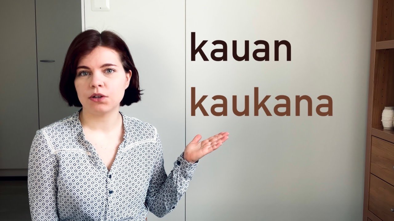 Anniina selittää: Finnish words that look the same | Part 4 - YouTube