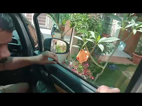 installation of sliding 🚗 car window curtain DIY | WR-V car sliding ...