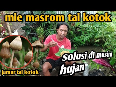 MIE JAMUR TAI KOTOK MAKANAN DI MUSIM HUJAN - YouTube