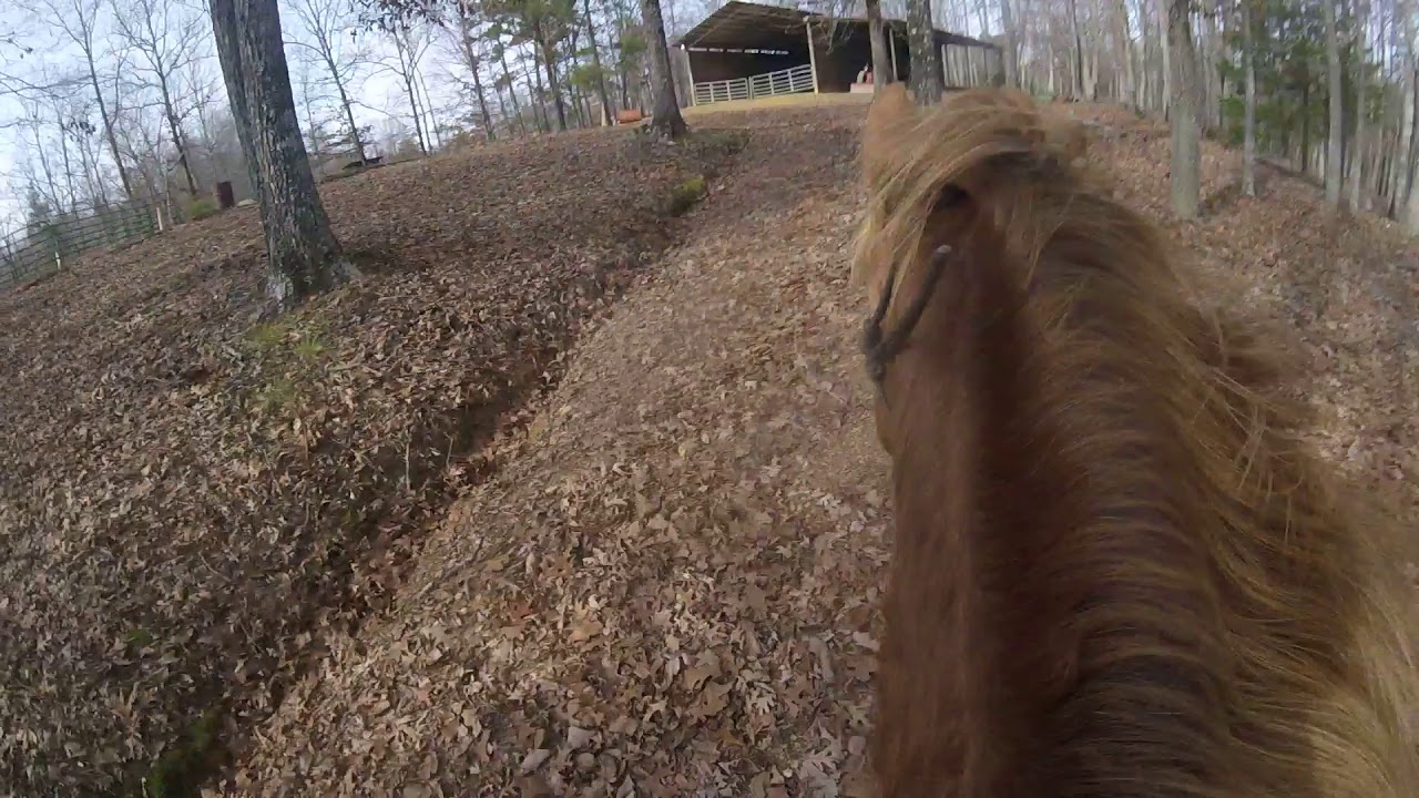 Riding Rascal (Part 10) - YouTube