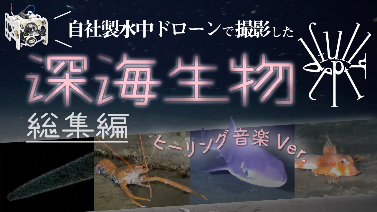 水中ドローン | 深海生物総集編（ヒーリングBGM ver.）【DiveUnit300 で撮影】| FullDepth - YouTube