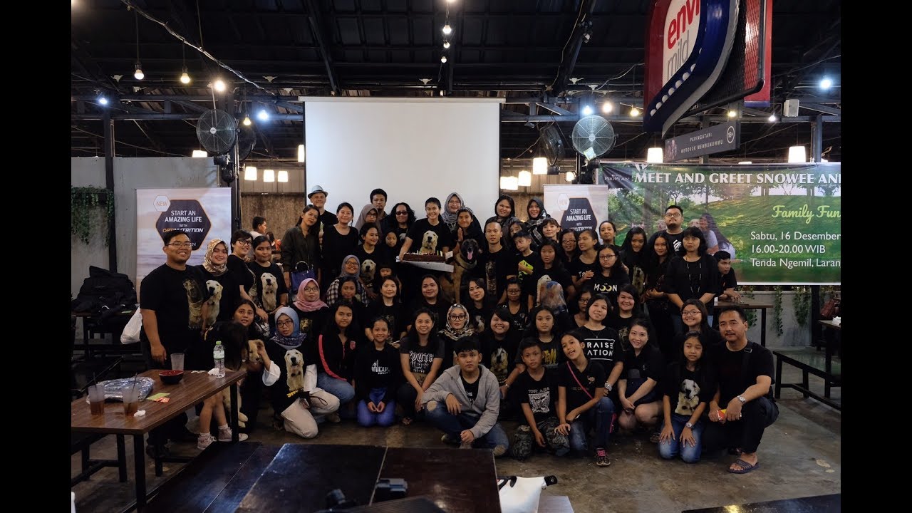 MEET AND GREET SNOWEE AND FAMILY 16 DECEMBER 2017| SNOWEE THE GOLDEN ...