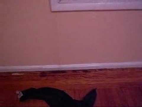 cuarto inundado - YouTube