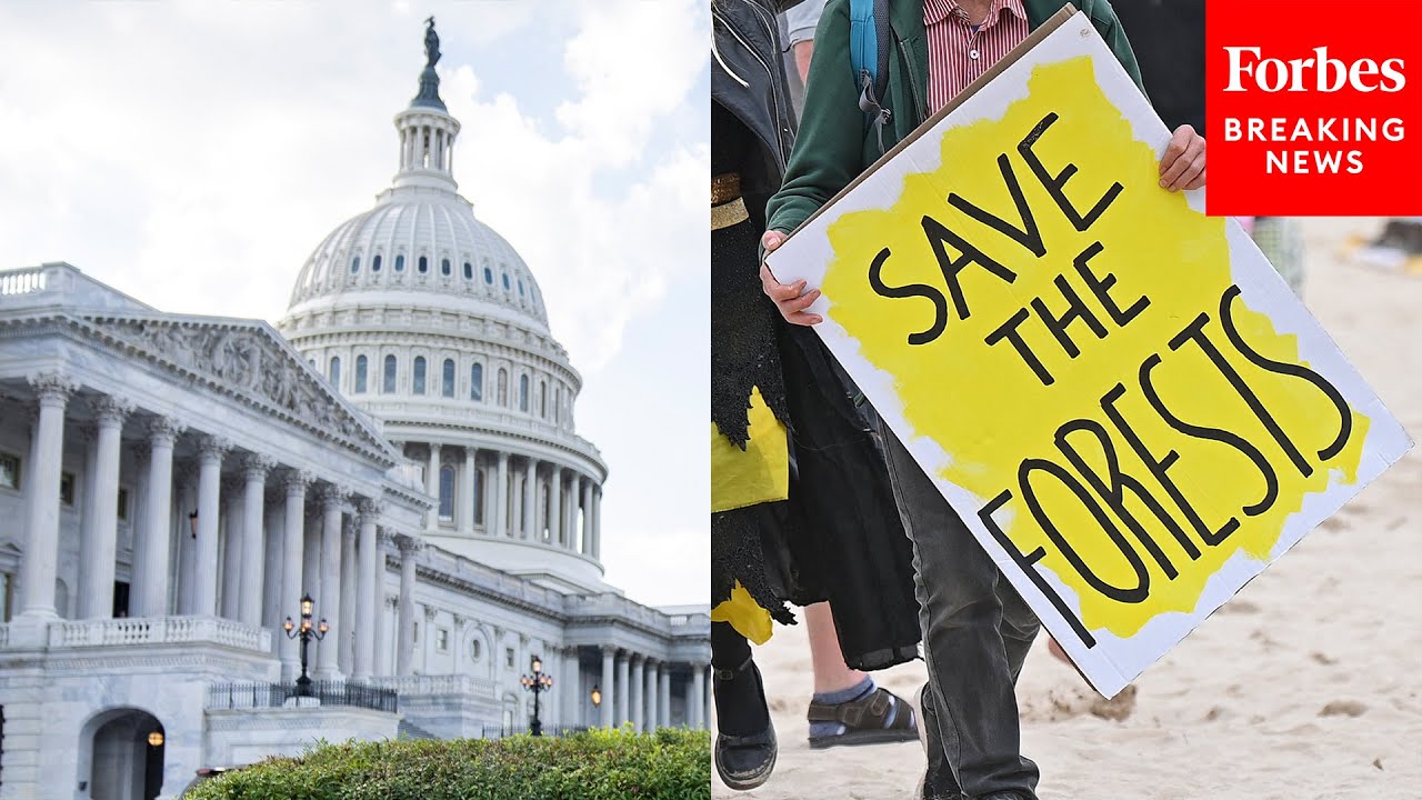 House Republicans Establish Conservative Climate Caucus - YouTube